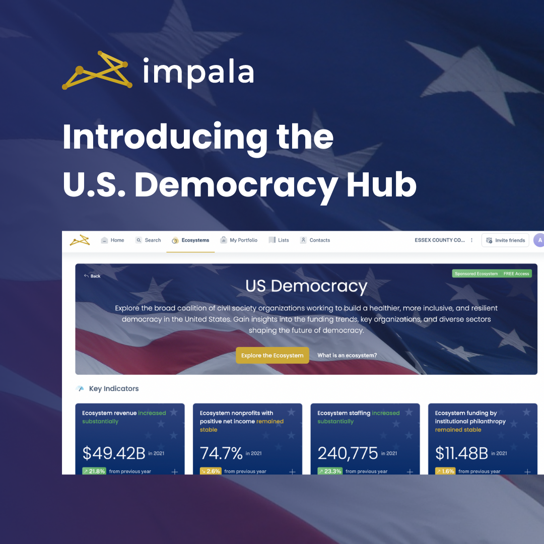 Introducing the U.S. Democracy Hub: A Groundbreaking Resource for the Democracy Sector